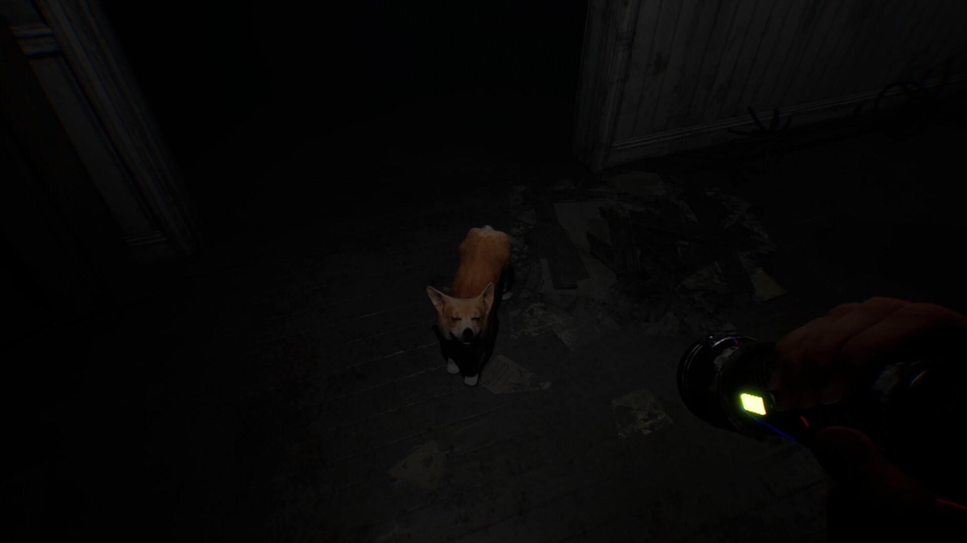 Project Unknown on Steam