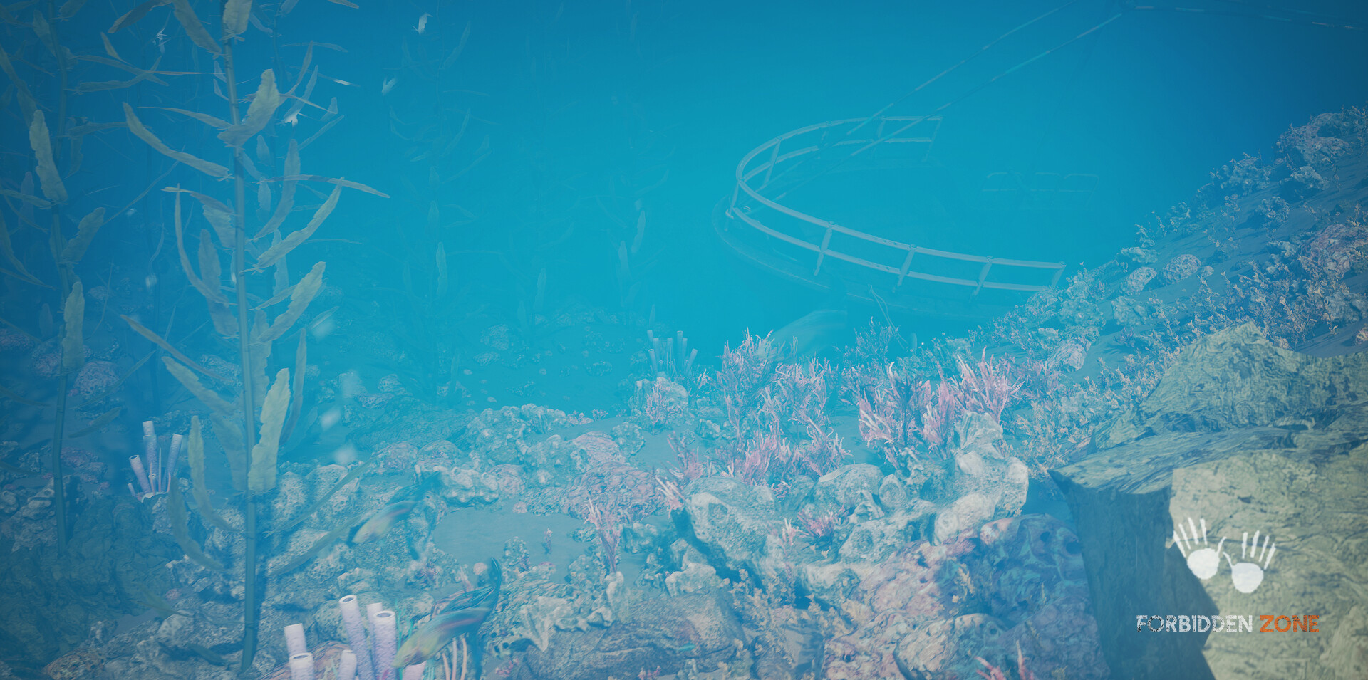 Forbidden zone on Steam