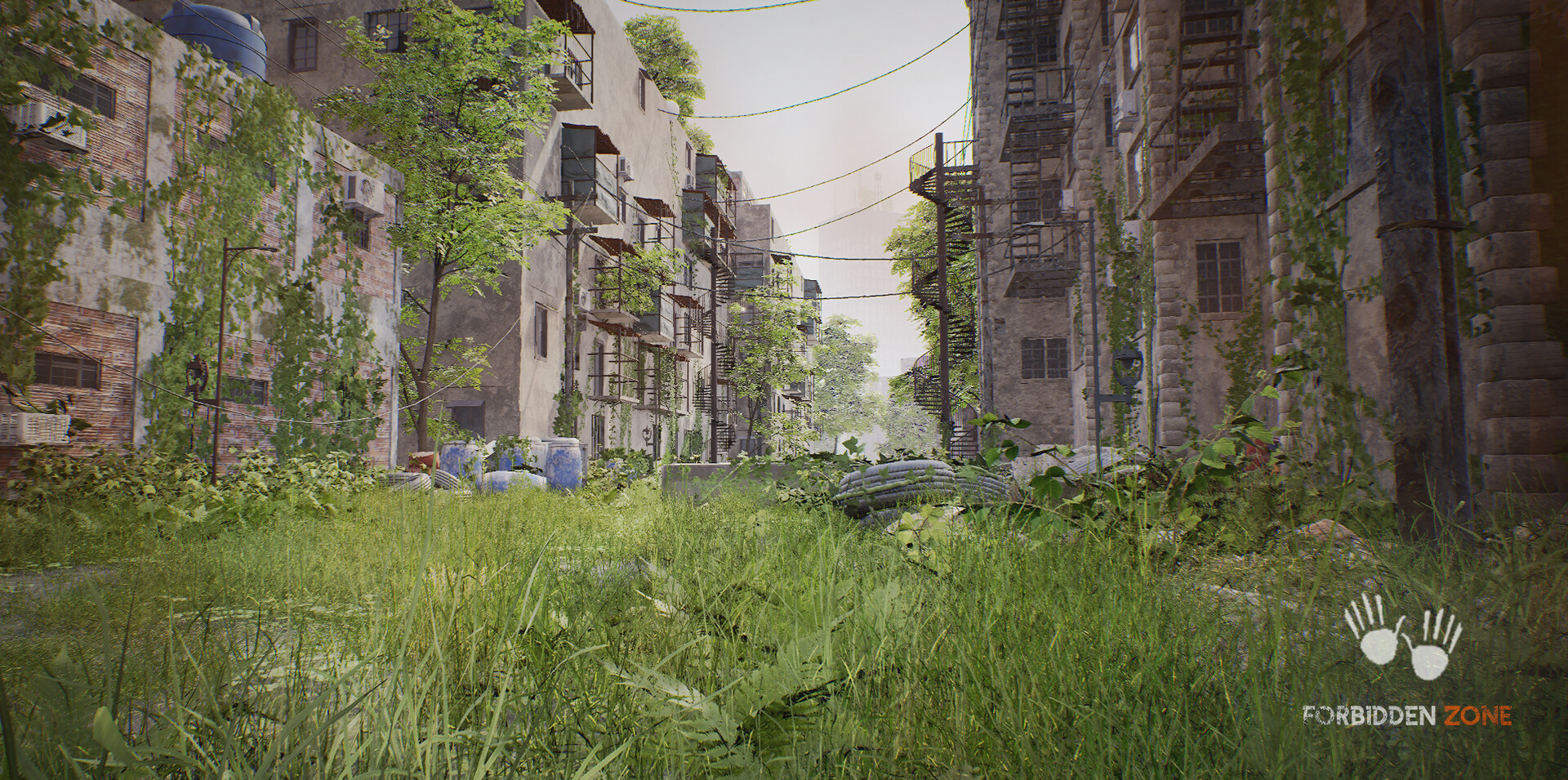 Forbidden zone on Steam