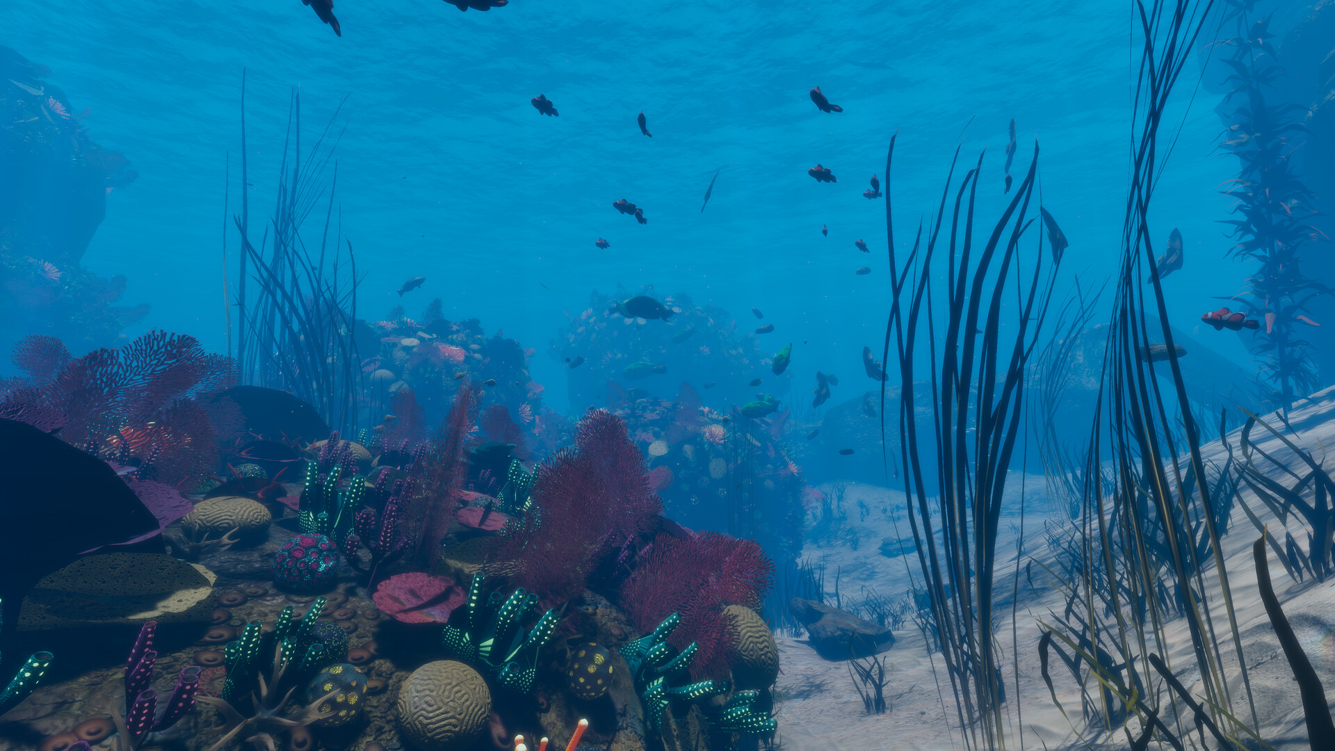 Sonorous | Deep Down Below on Steam