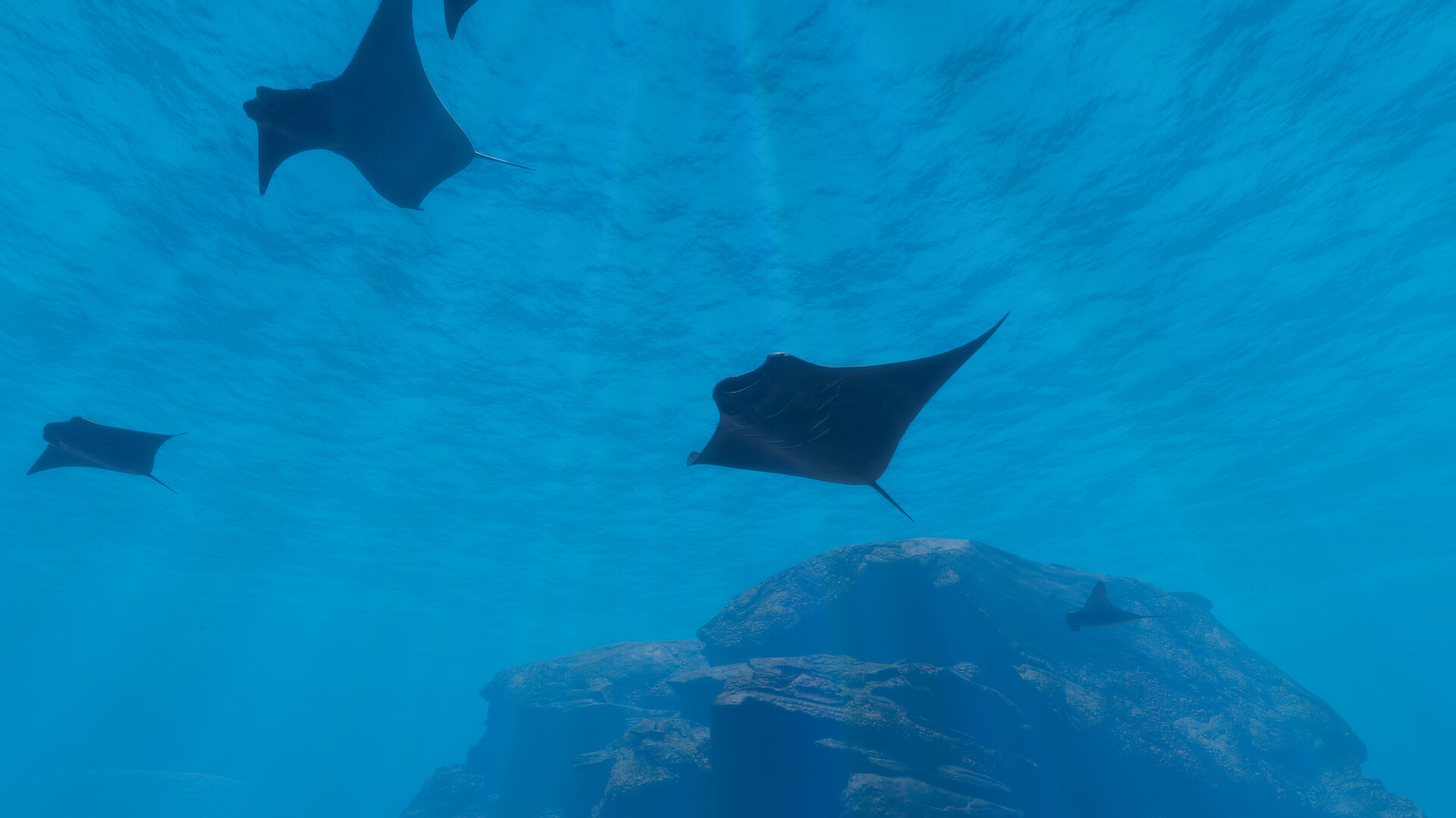 Sonorous | Deep Down Below on Steam