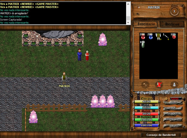 Argentum Online [MOD Tierras del Sur] by Nosetu Inc Games on Steam