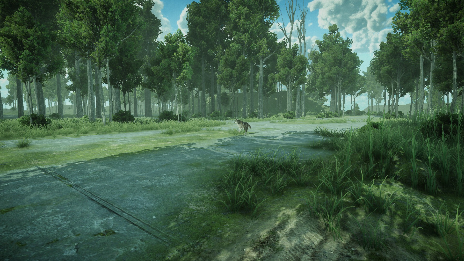 Forest Spring on Steam