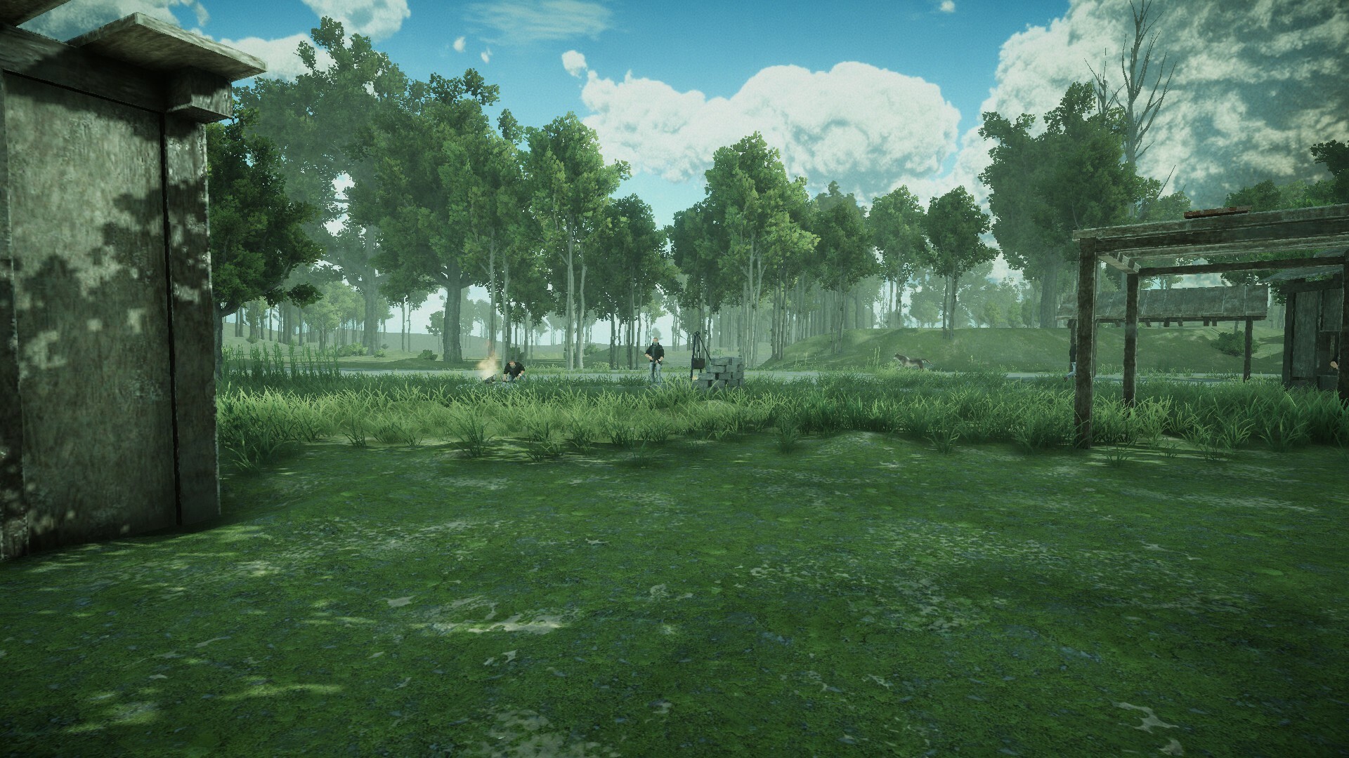 Forest Spring on Steam