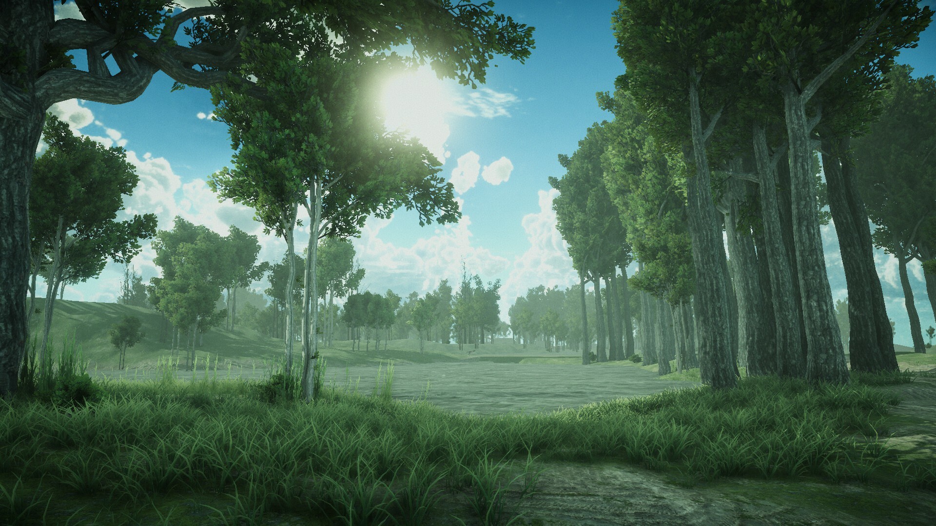 Forest Spring on Steam