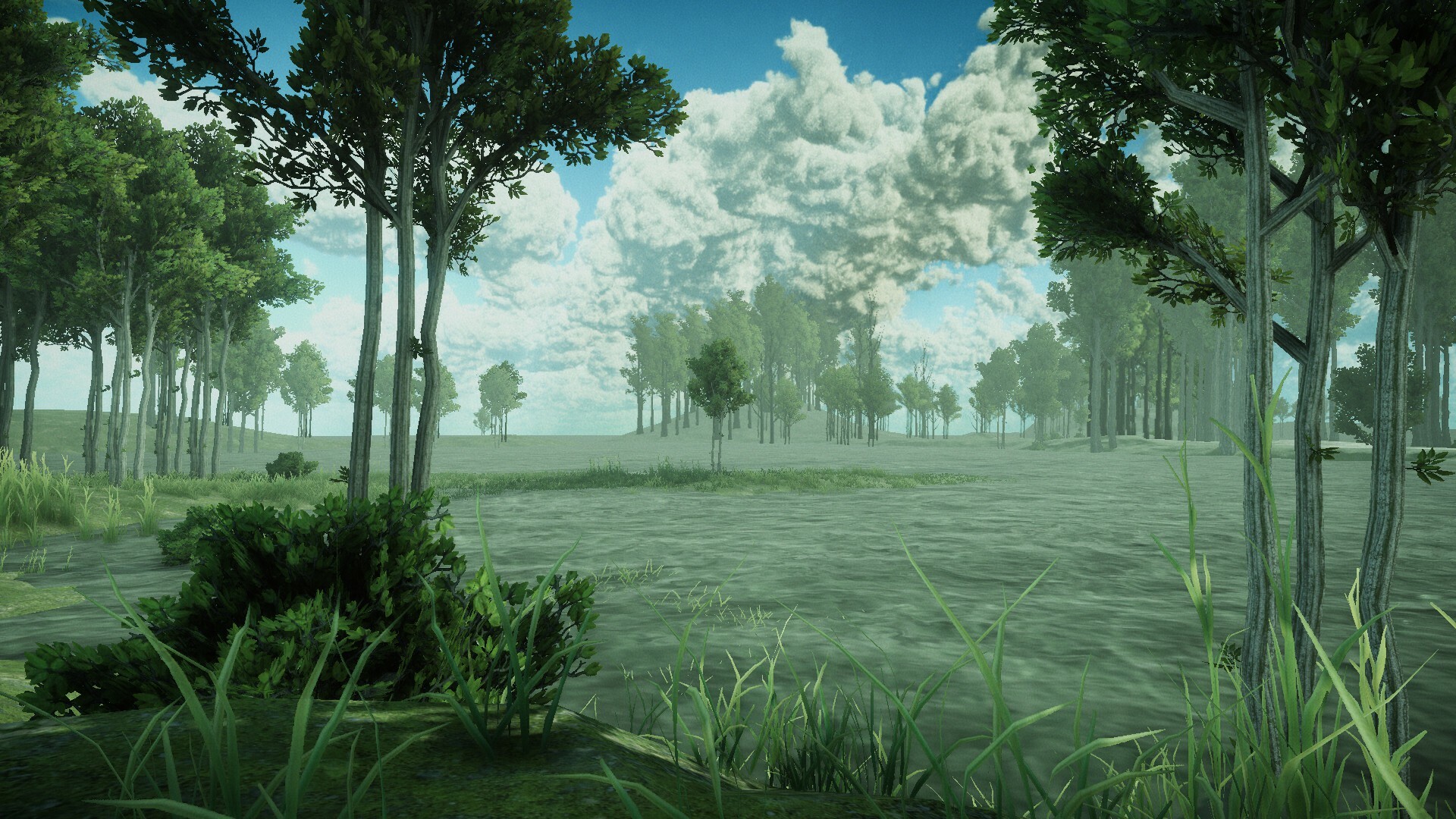 Forest Spring on Steam