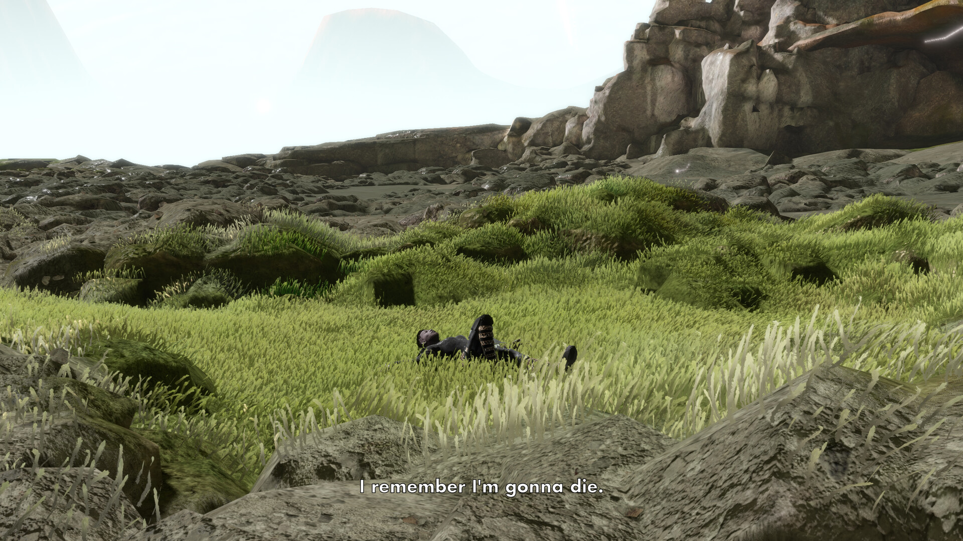 Player Non Player on Steam