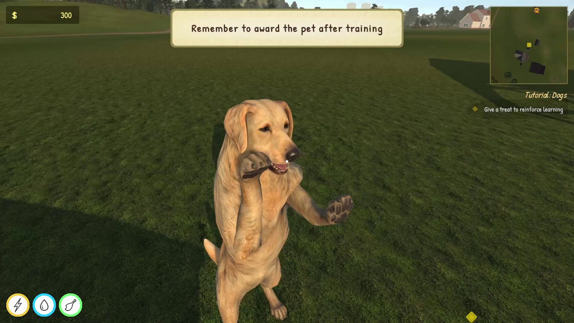 Animal Trainer Simulator on Steam