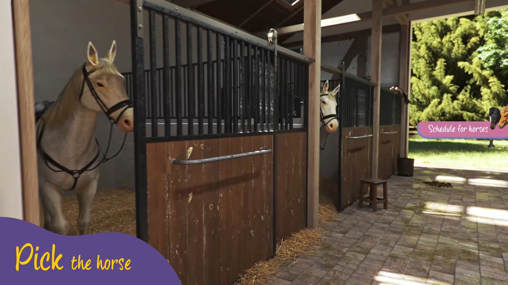 Animal Trainer Simulator on Steam
