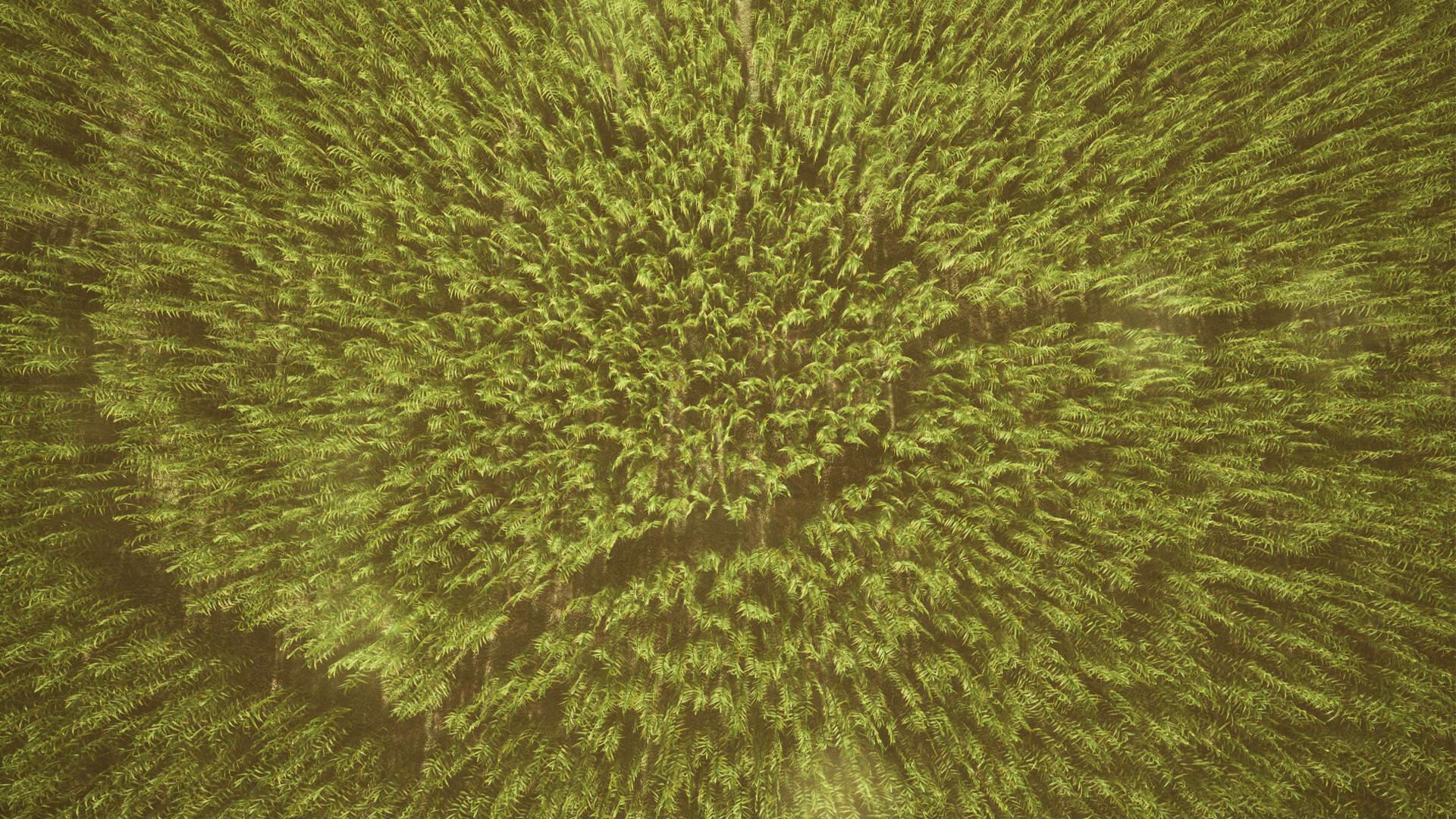 Outfield on Steam