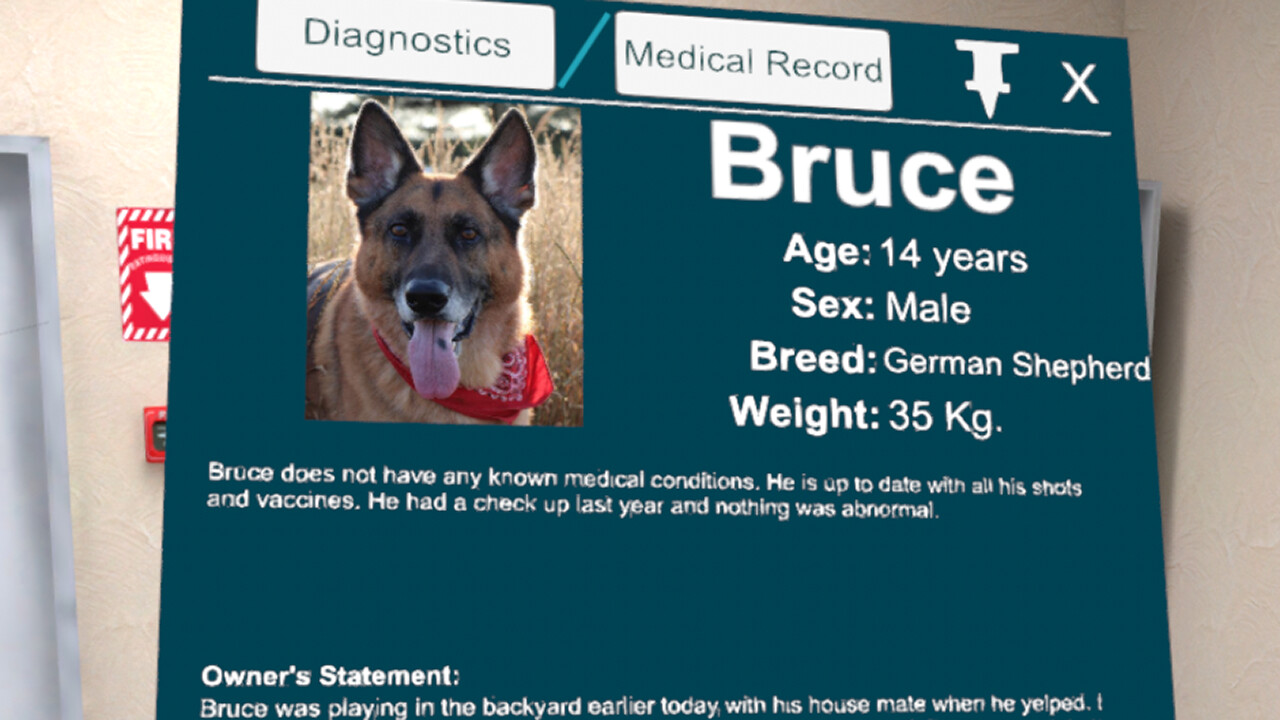 VetVR Veterinary Simulator en Steam