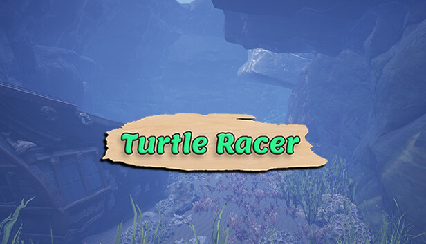 Turtle Racer on Steam