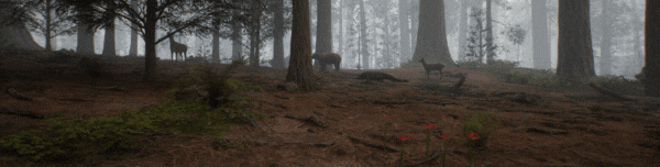 Native Hunter on Steam