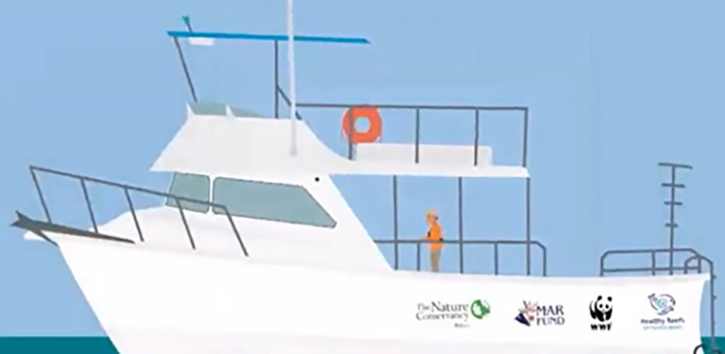 Find the Whales on Steam