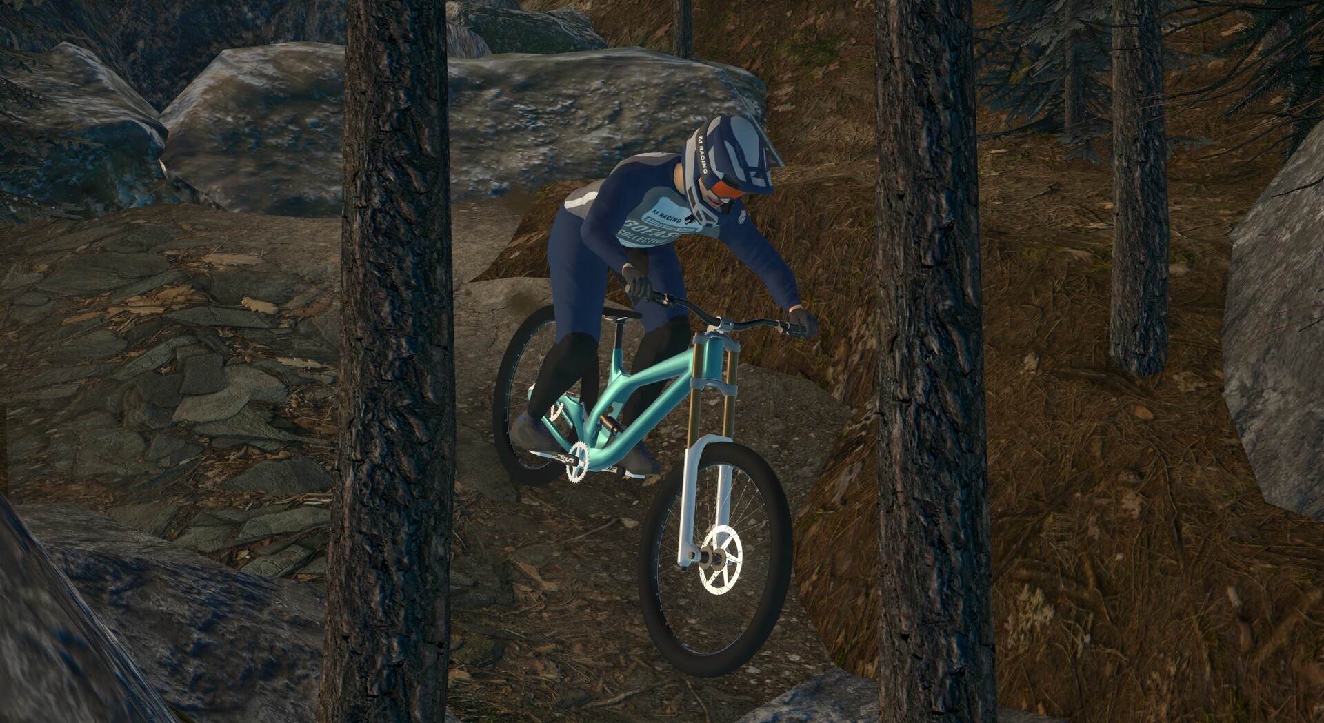 Downhill Pro Racer on Steam