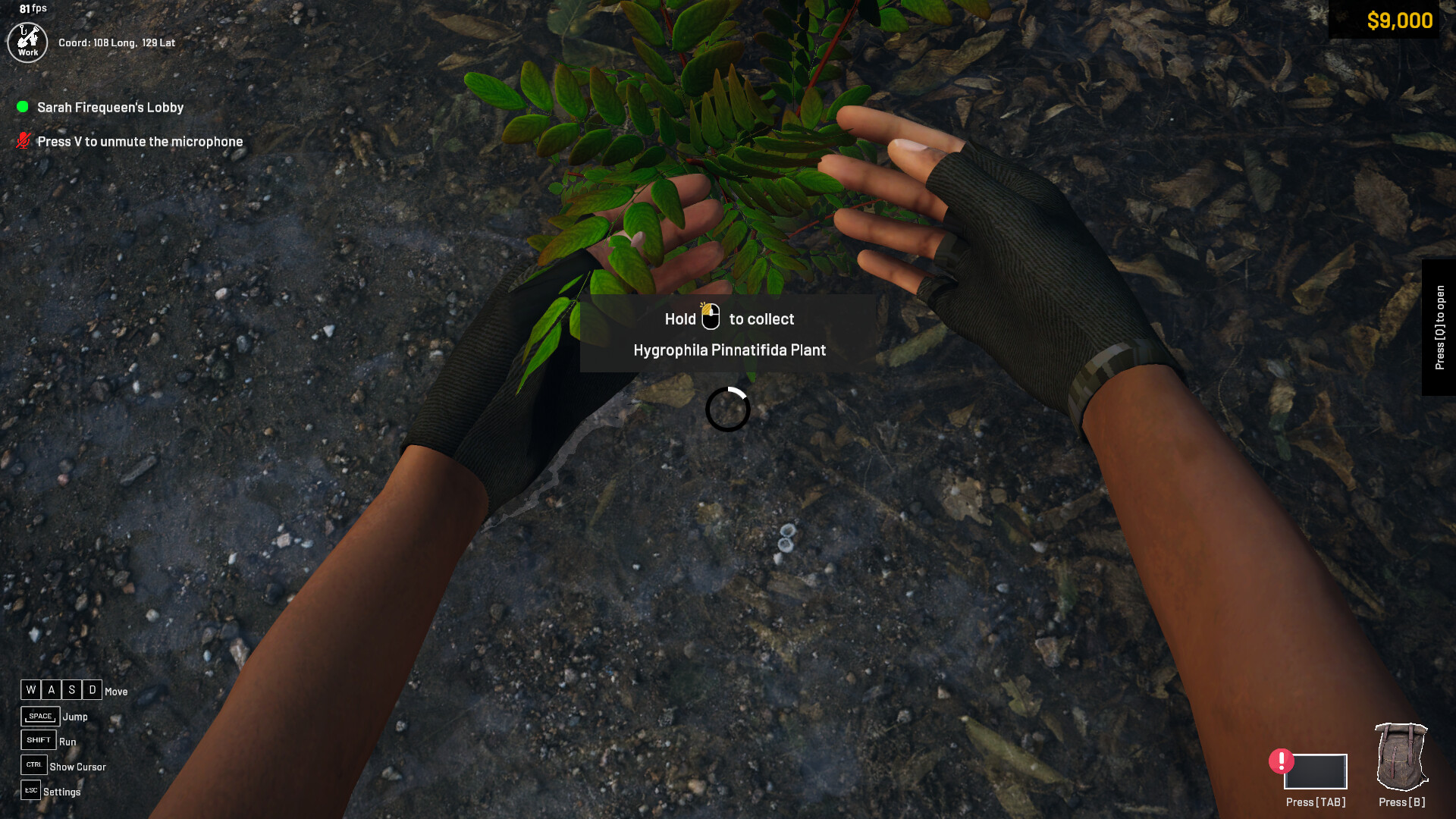 Buy Aquascape Simulator (PC) - Steam - Digital Code