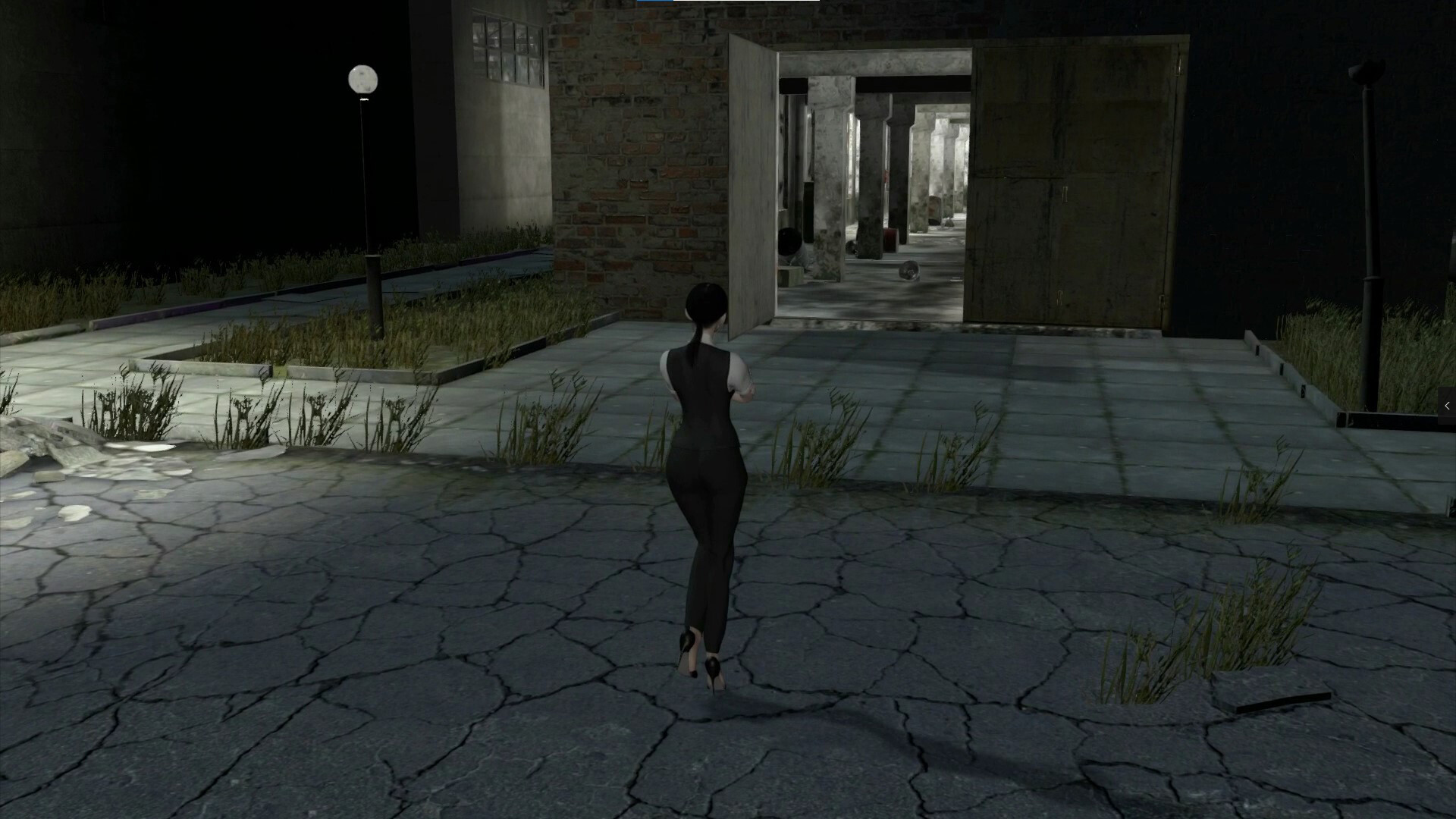 She and Rope on Steam