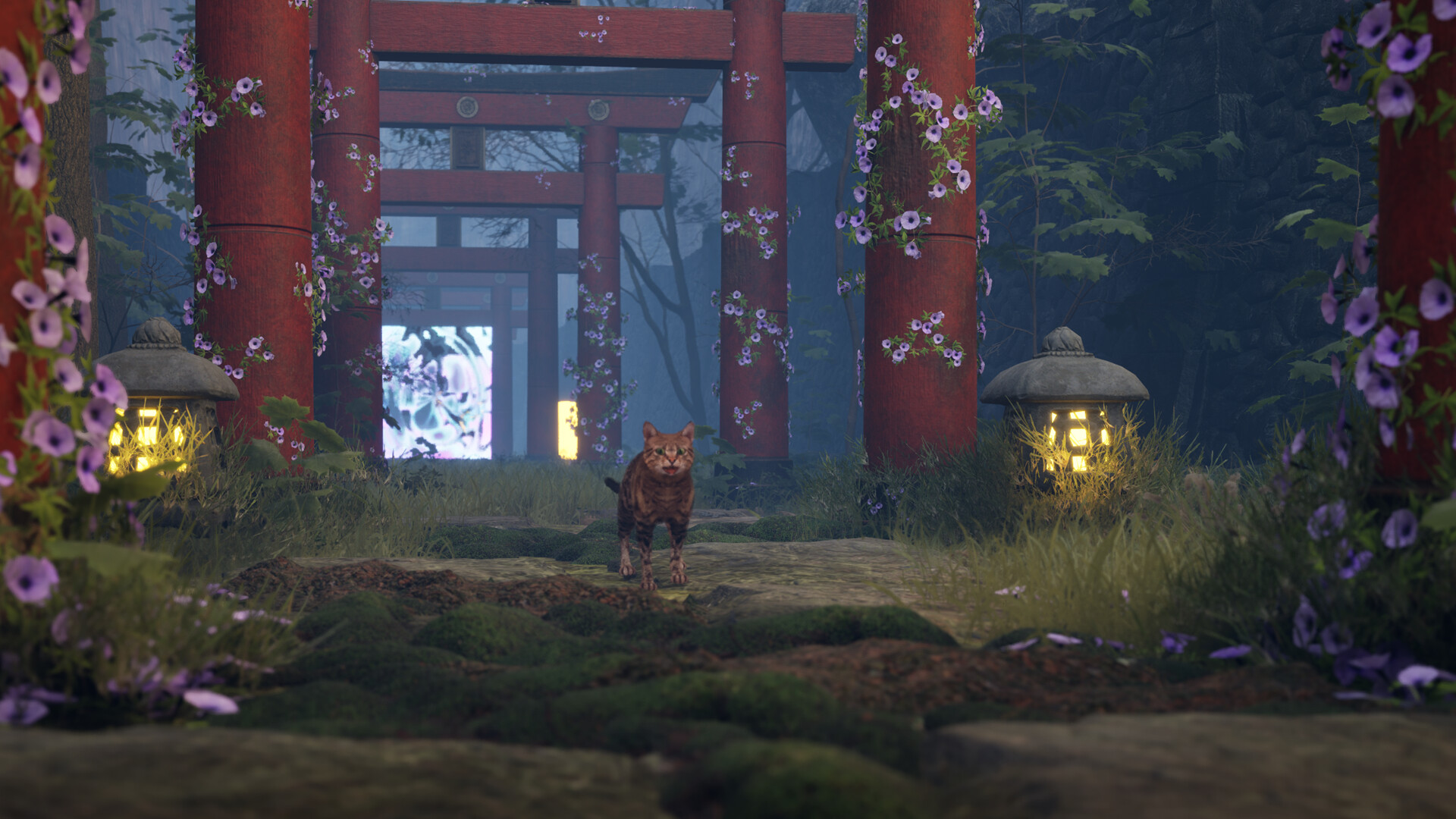 Super Cat Simulator on Steam