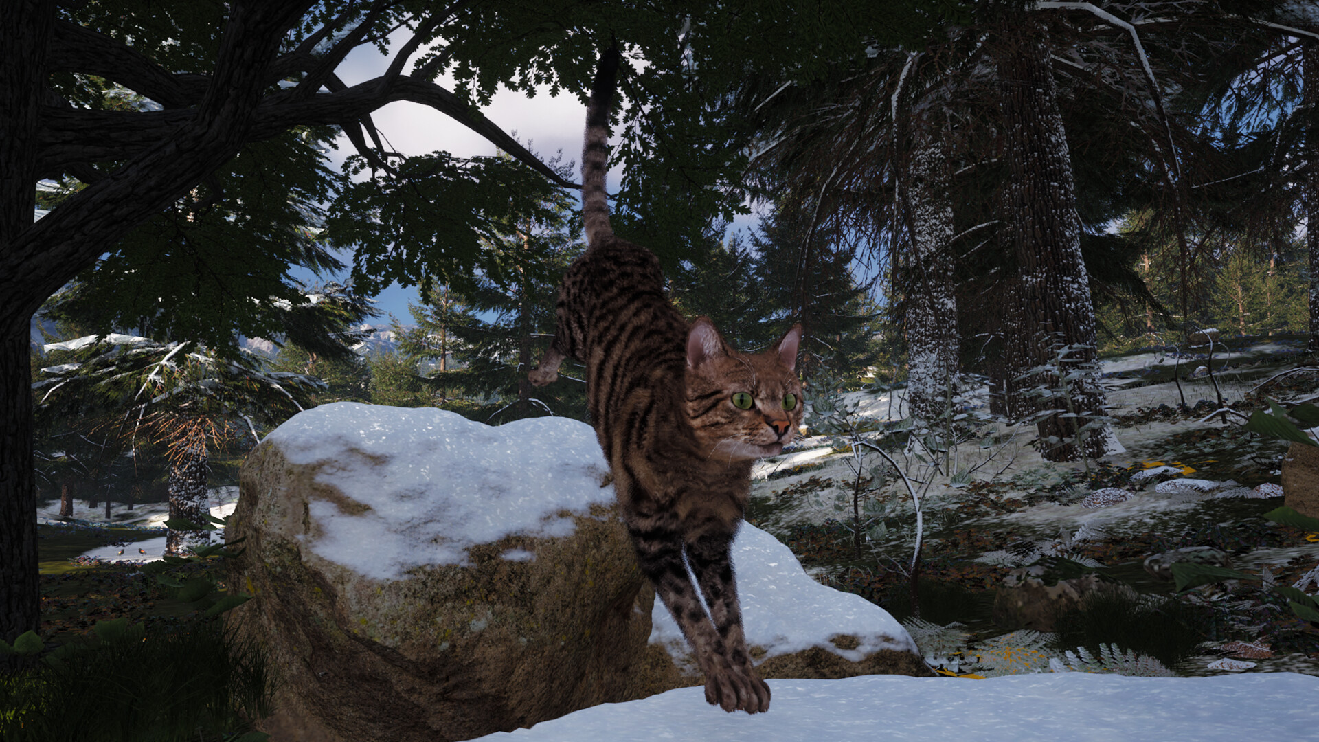 Super Cat Simulator on Steam