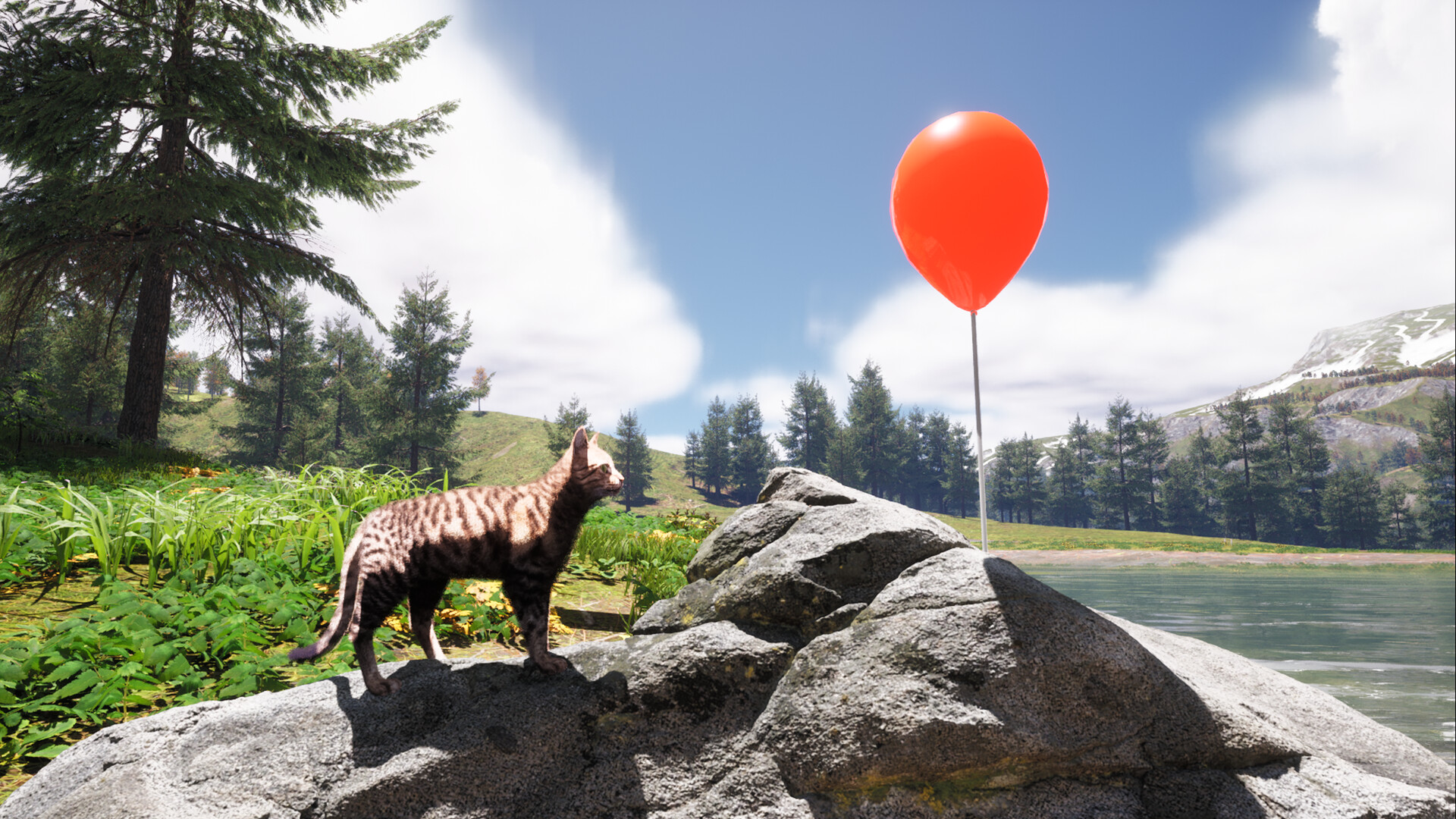 Super Cat Simulator on Steam