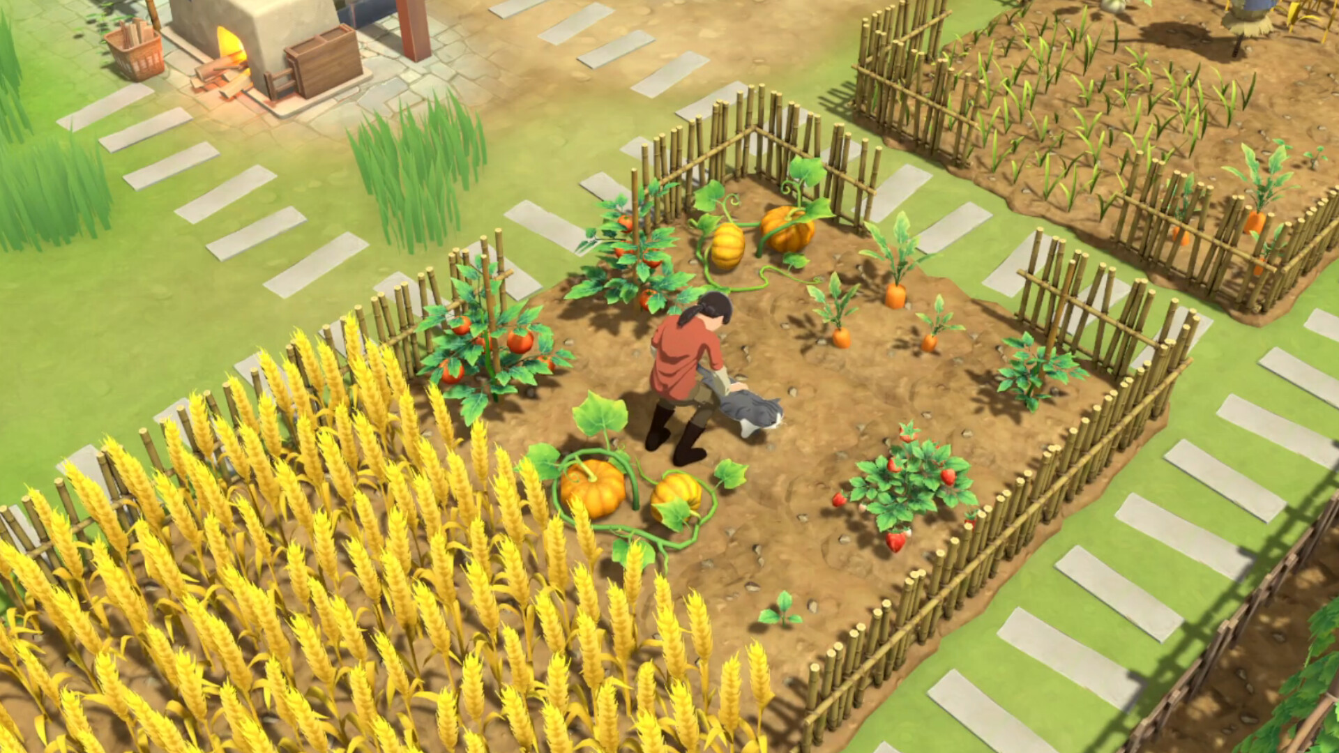 Litchi Town on Steam