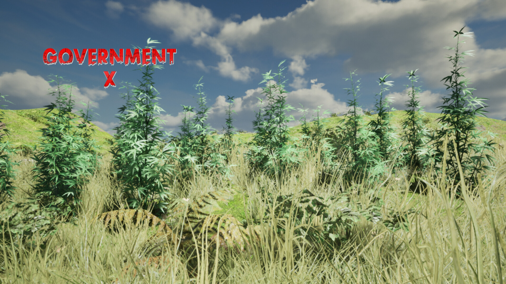 Government X on Steam