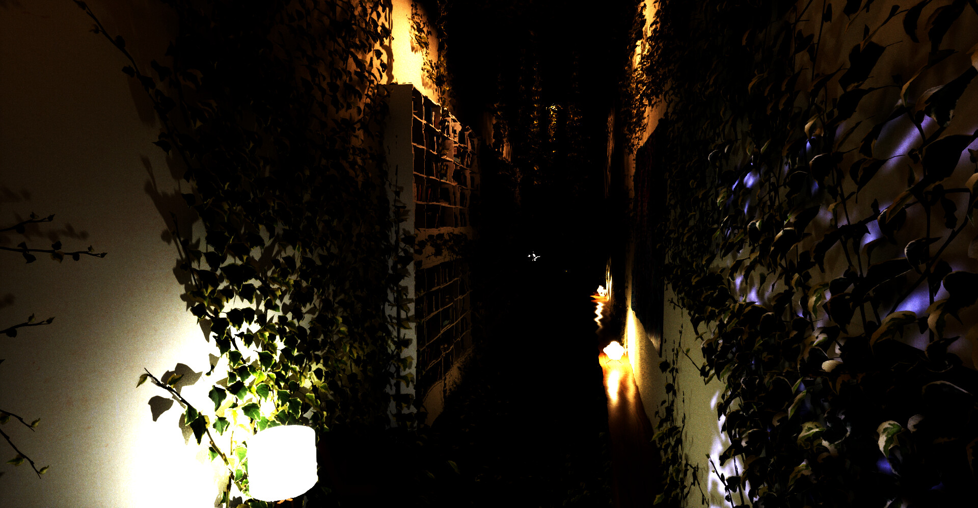 Appearances on Steam