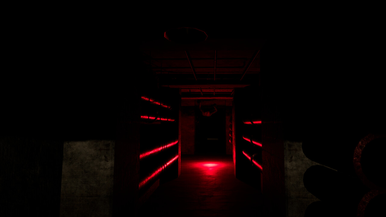 Backrooms Project: The lost file on Steam