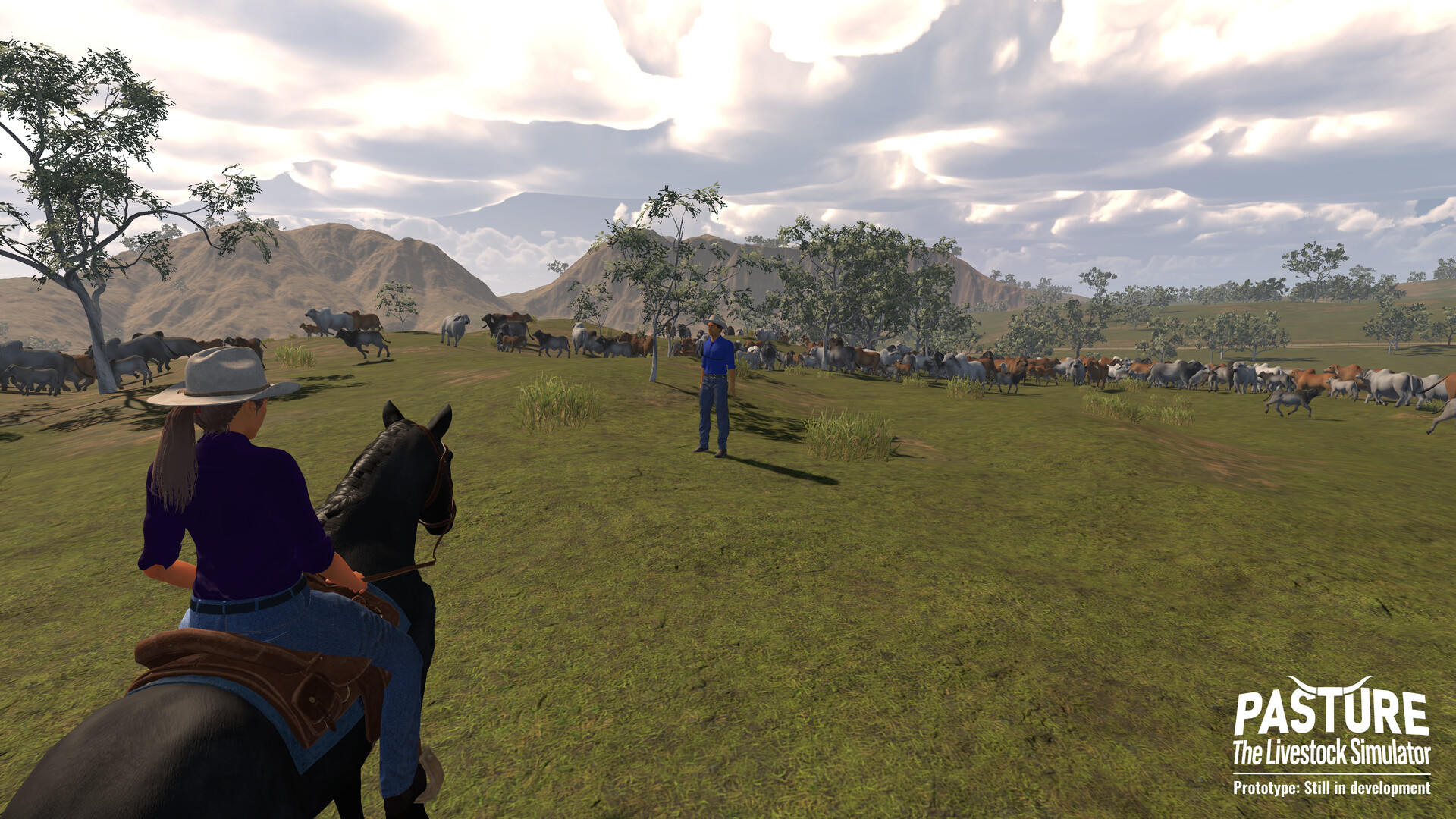 Pasture: The Livestock Simulator on Steam