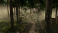 Project Mist on Steam