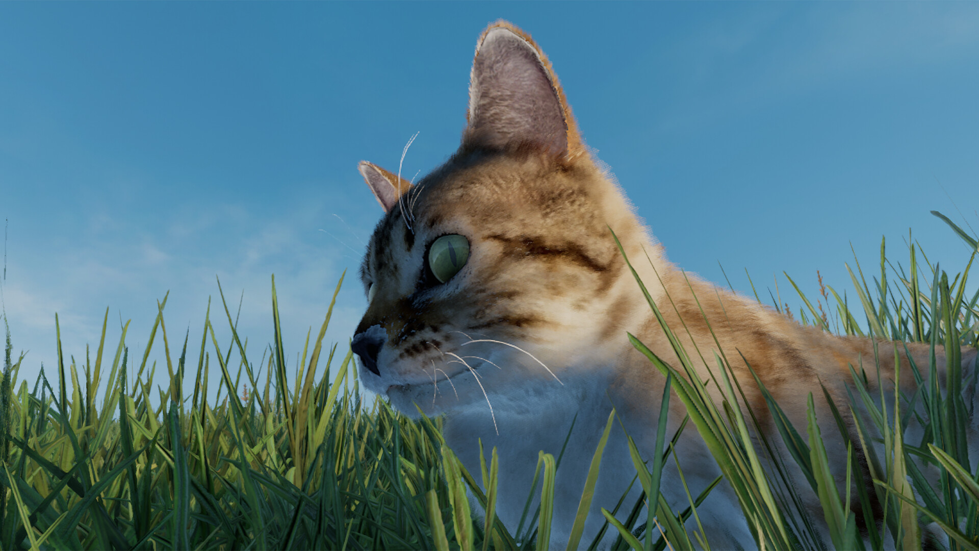 Last Life on Steam