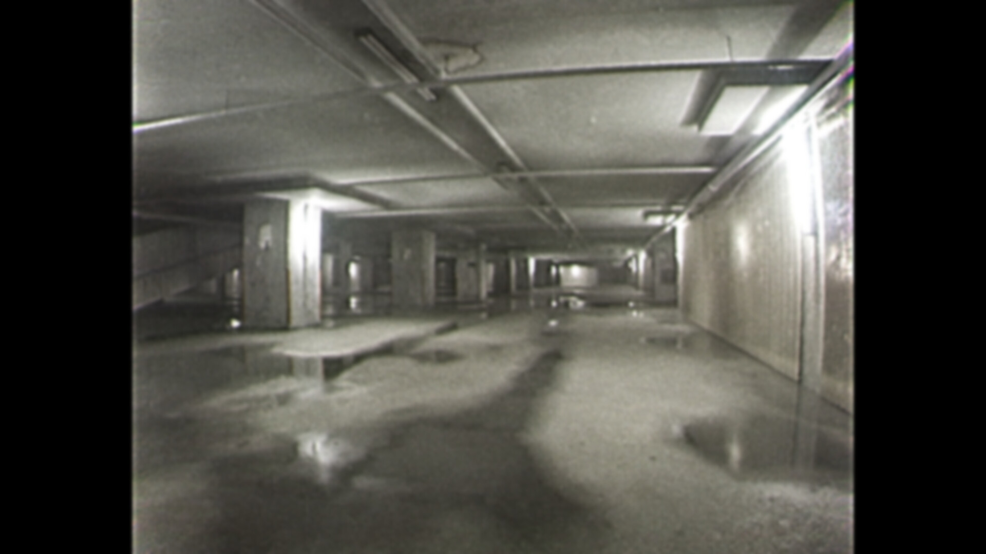 Paradise Nowhere on Steam