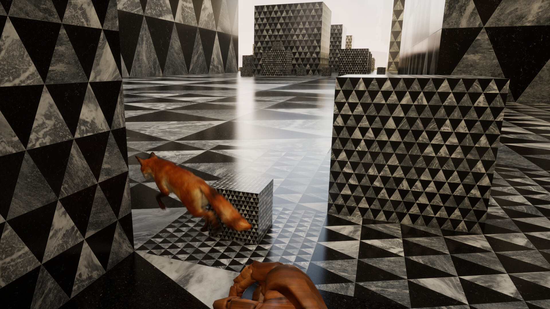 Catch The Fox - Keymailer