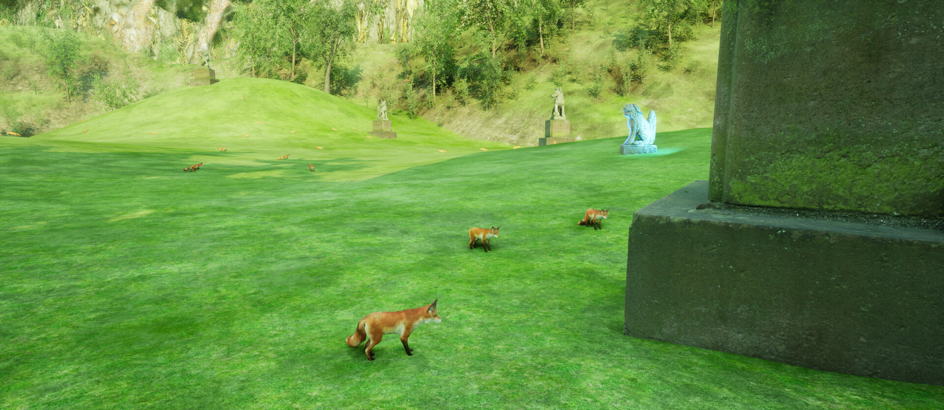 Catch The Fox - Keymailer