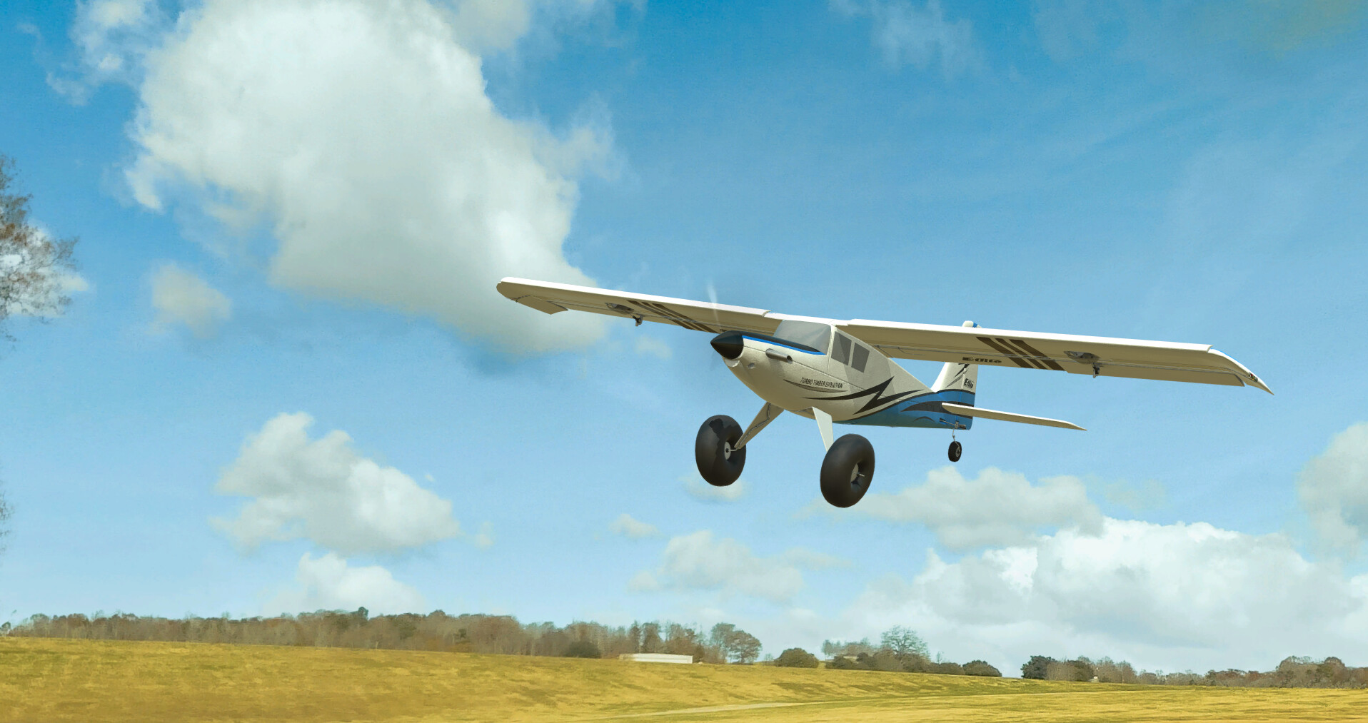 RealFlight Evolution - 2023 Year Content Pass on Steam