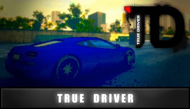 True Driver - Steam News Hub