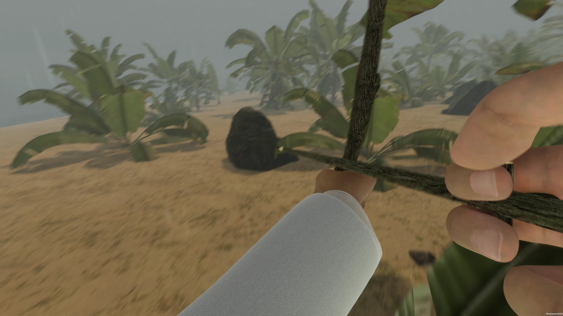 Island Notes on Steam