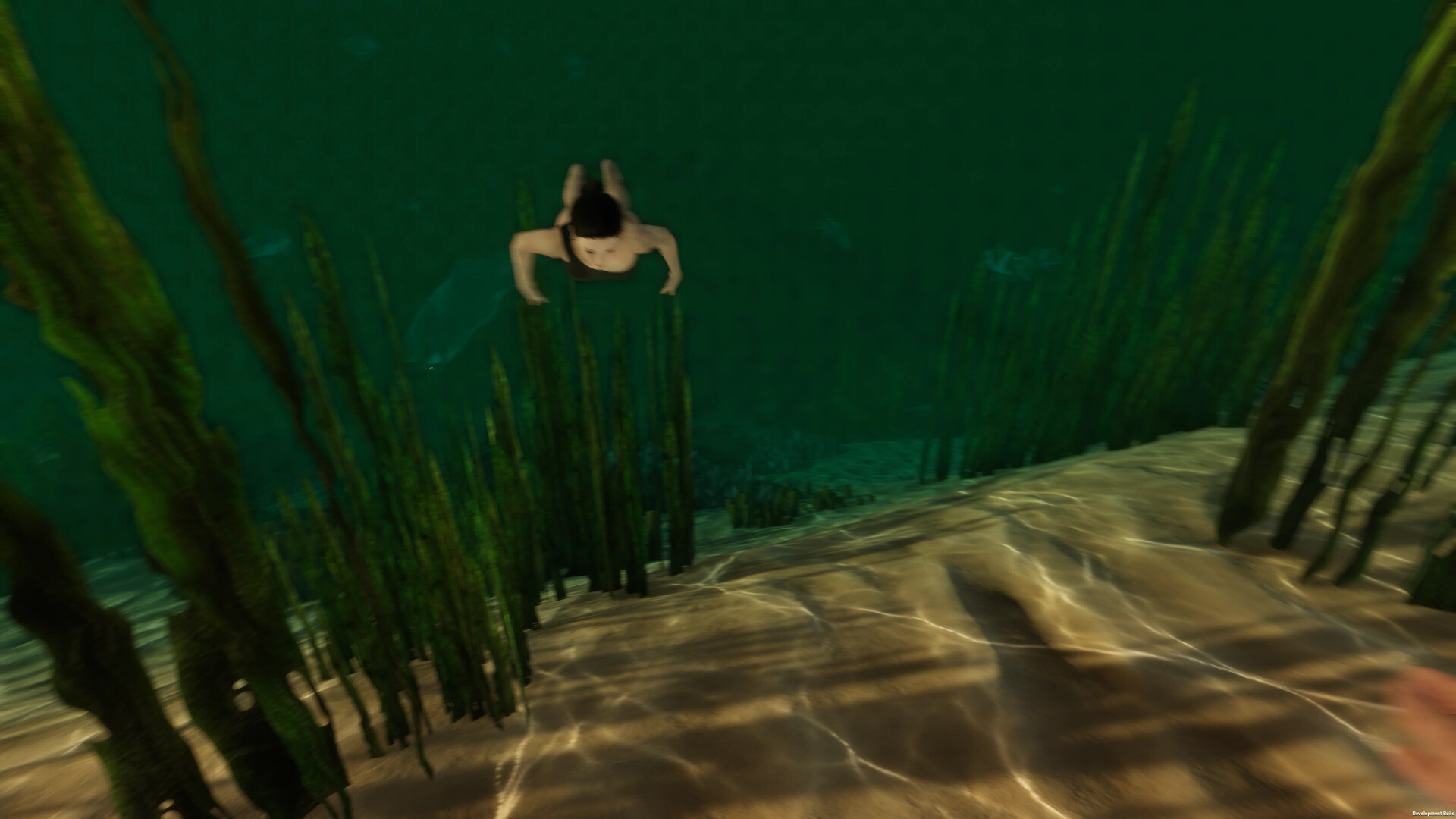 Island Notes on Steam