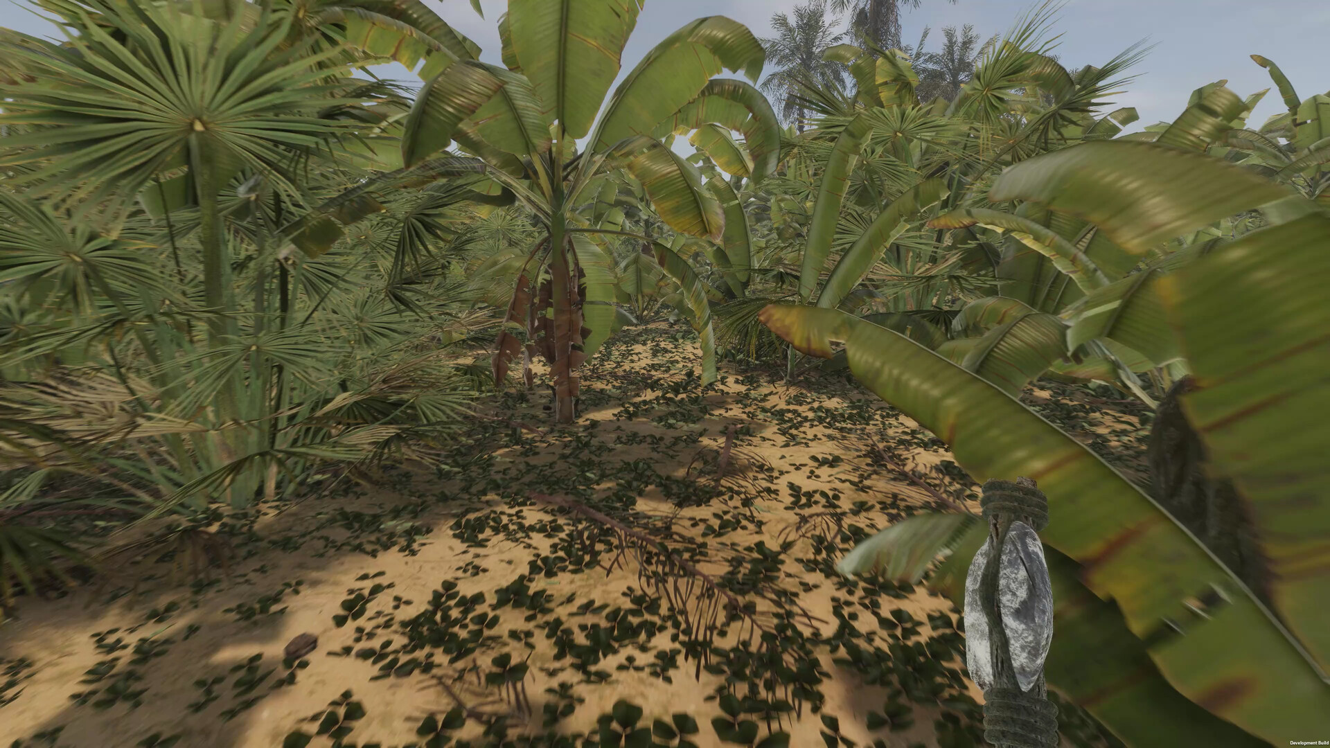 Island Notes on Steam