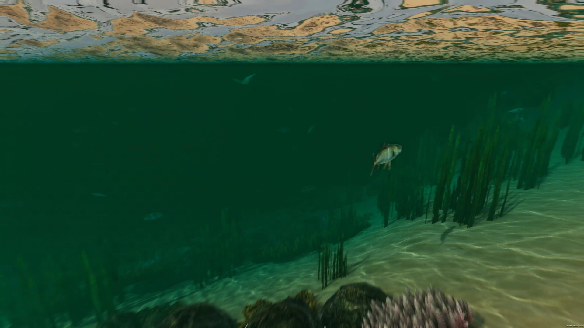 Island Notes on Steam