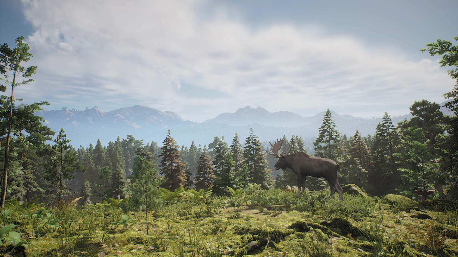 Project Hunt on Steam