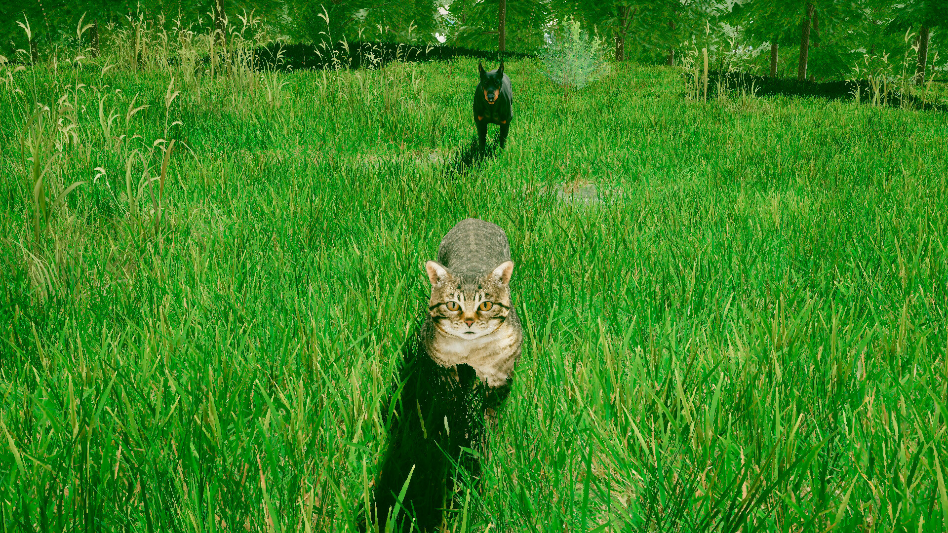 Juego de gatos y mascotas (Cats game) en Steam