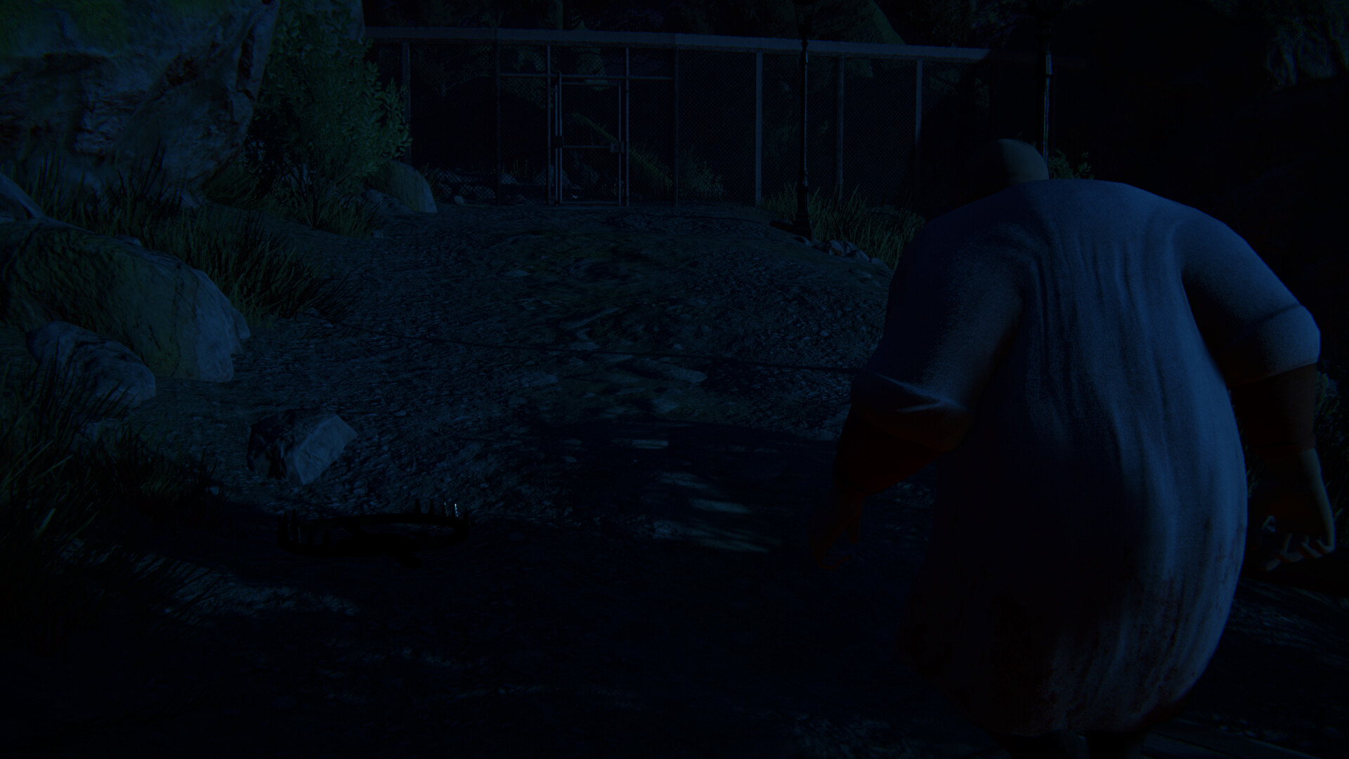 Whittingham Asylum: The Investigation on Steam