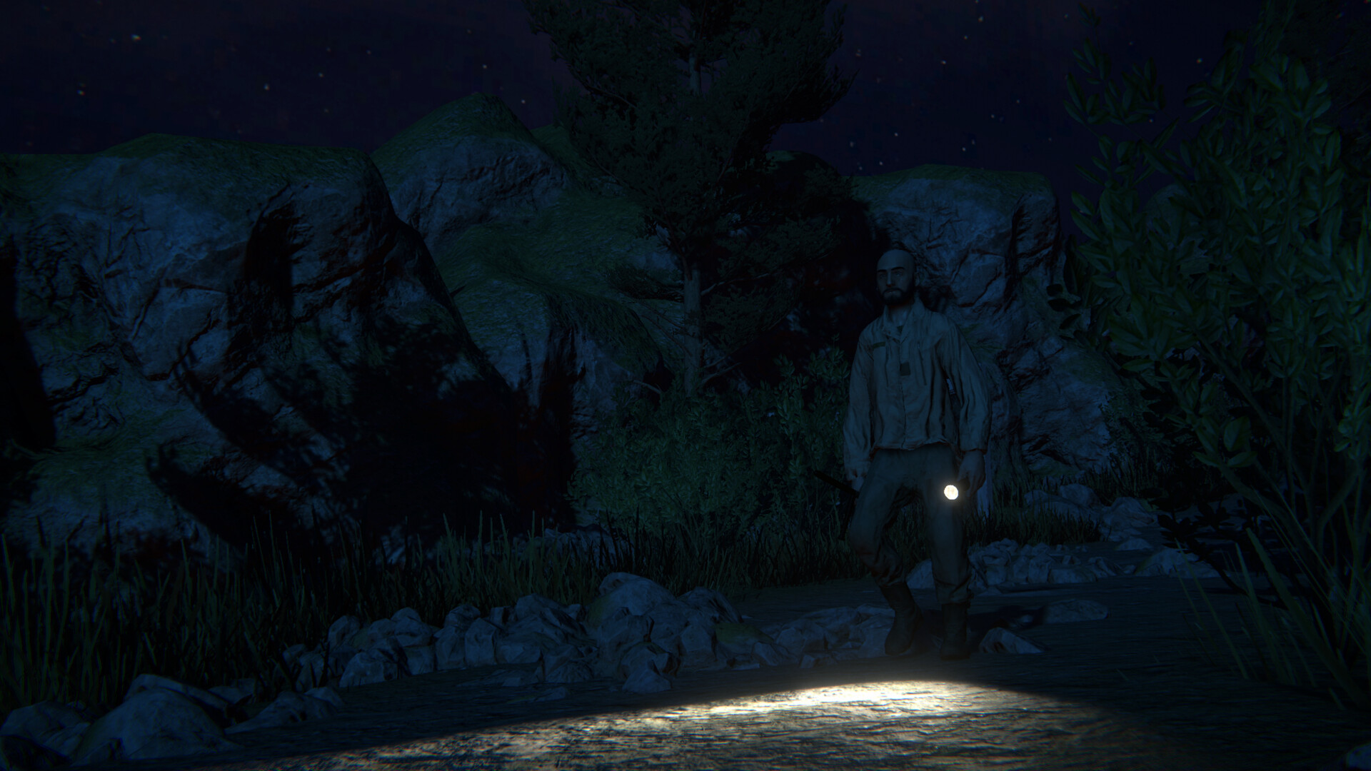 Whittingham Asylum: The Investigation on Steam