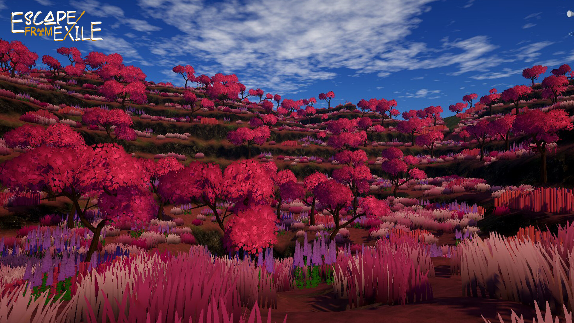 Escape From Exile on Steam