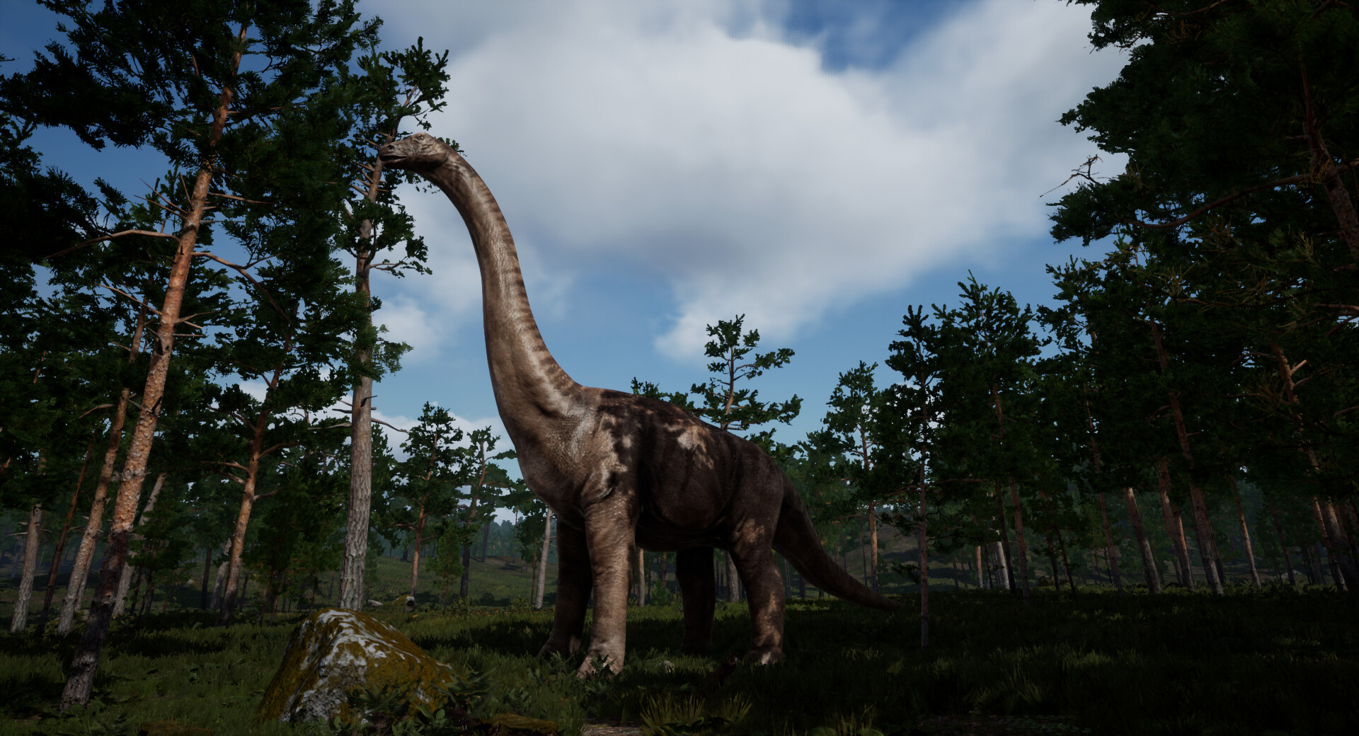 Wild Alone on Steam