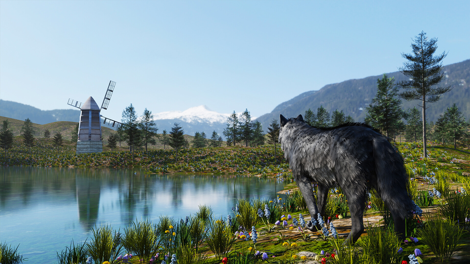 Wolf Simulator: RPG Survival Animal Battle on Steam