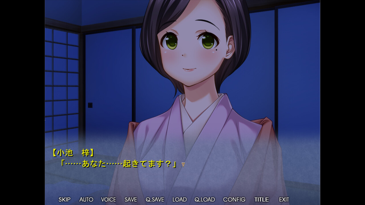 他の男の精液で孕むとき2 ― 障子に映る、快感に悶え狂った妻の影 ― On Steam