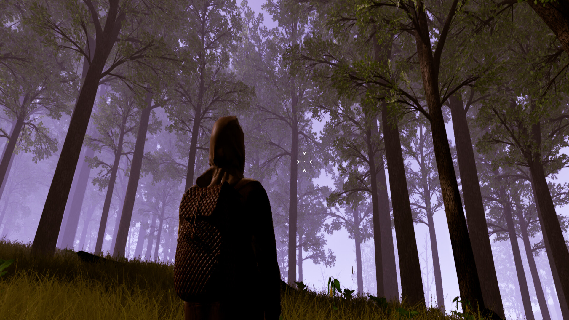 Dear, Virginia on Steam