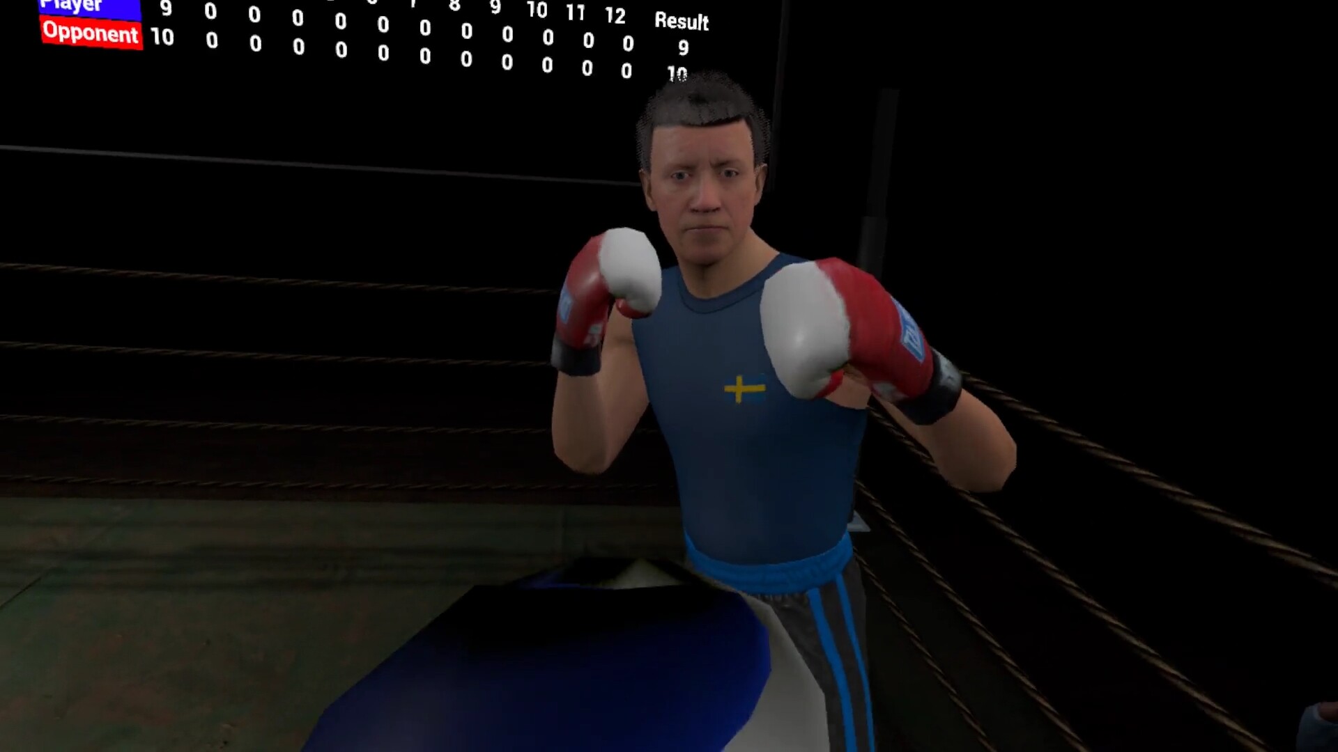 True Boxing VR on Steam